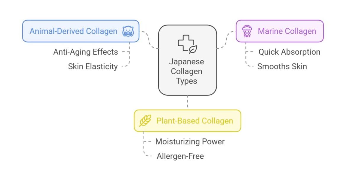Japanese Collagen: How to Choose the Perfect for Your Skin Type
